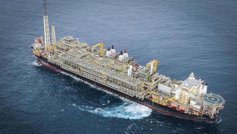 RESSOURCES : Comment le krill est devenu un enj...