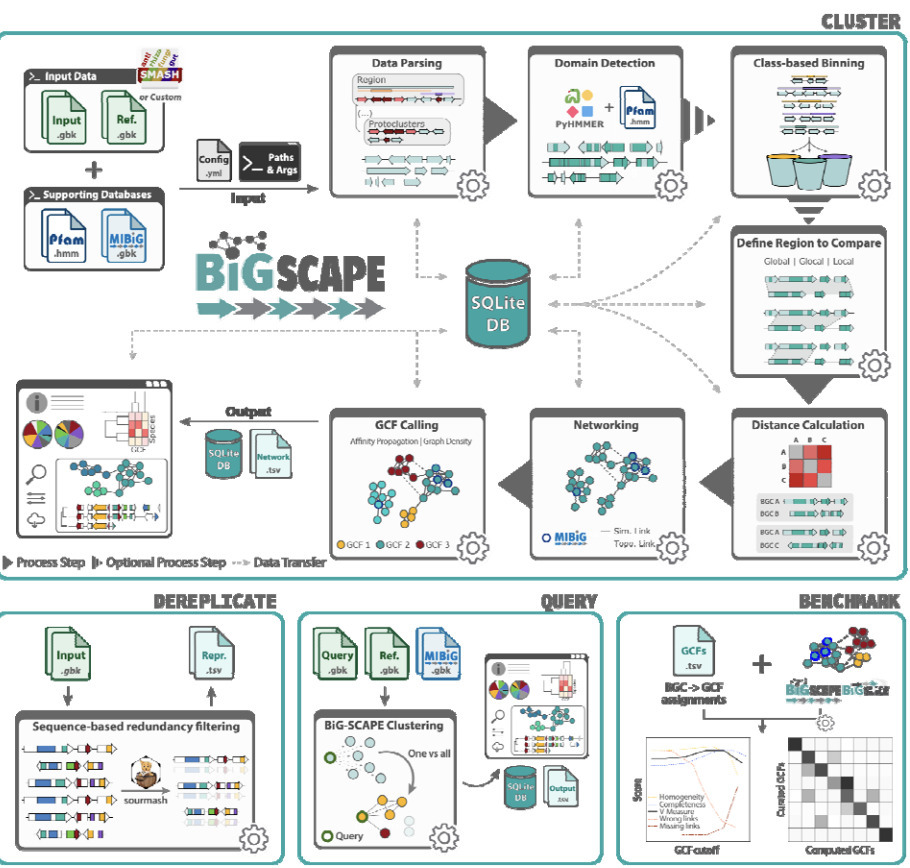 BiG-SCAPE 2.0 and BiG-SLiCE 2.0: scalable, accu...