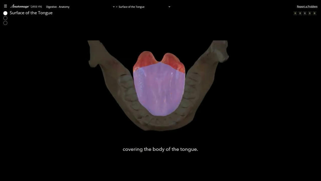 Anatomage Lessons 2.0: Easily Flip The Classroo...