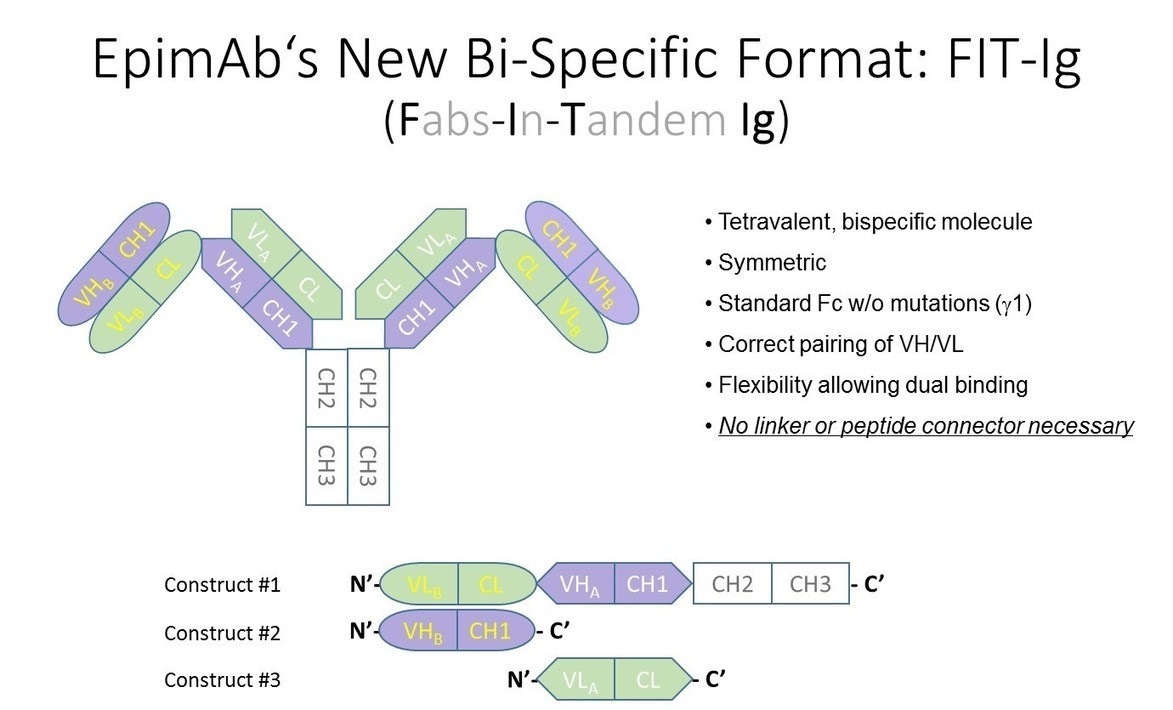 Our Science | EpimAb Biotherapeutics | Immunolo...