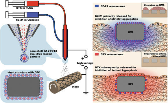 Design and testing of hydrophobic core/hydrophi...