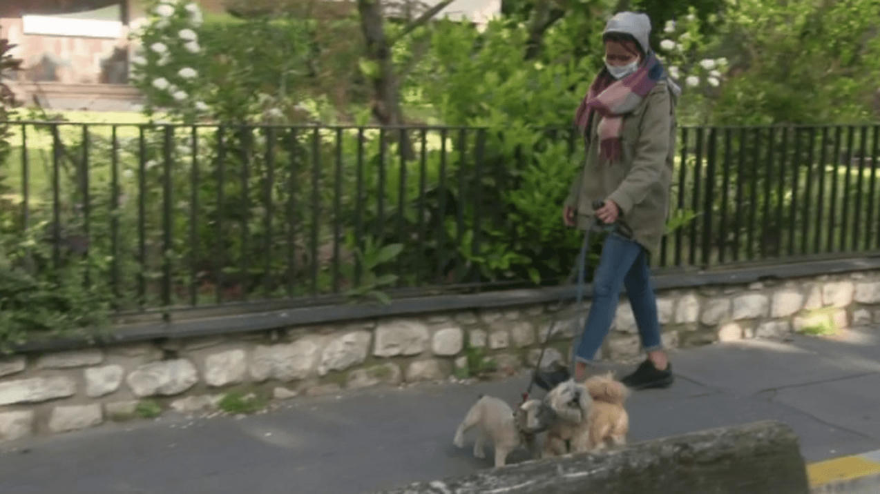 Santé : les bienfaits des animaux domest...
