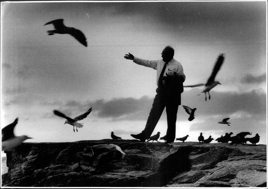 Los fractales y su estructura narrativa como pa...