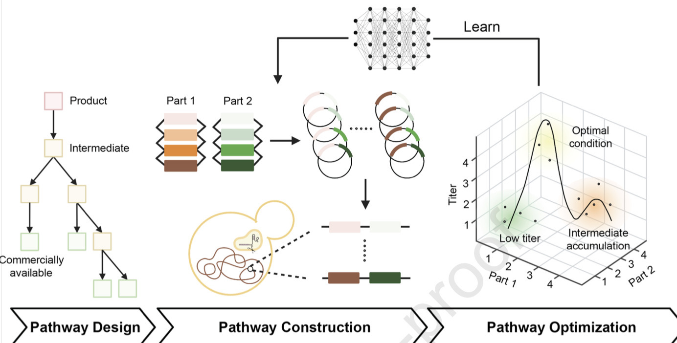 Enabling pathway design by multiplex experiment...