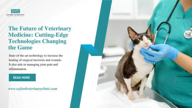 The Future of Veterinary Medicine: Cutting-Edge...