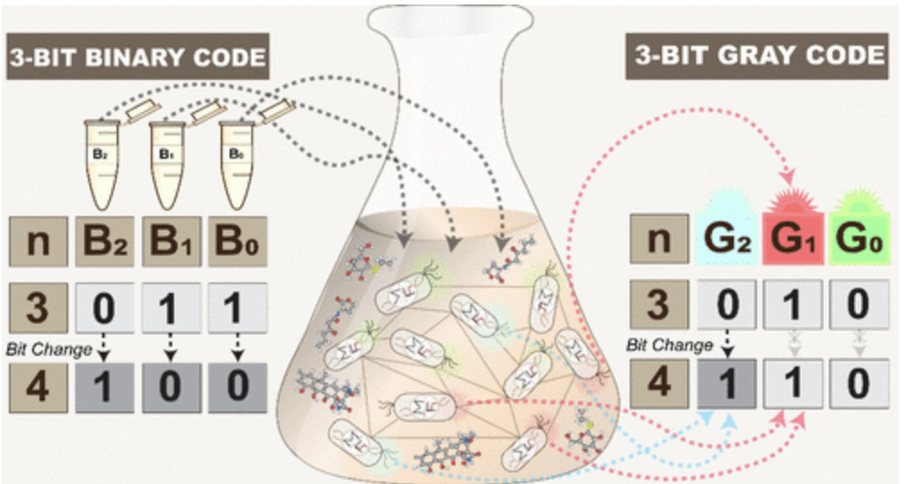 Engineered Bacteria Convert a 3-Bit Binary Code...