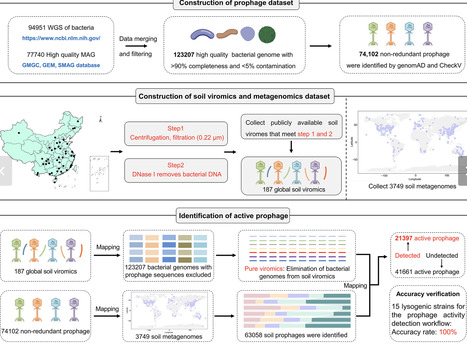 SILVA in 2026: a global core biodata resource f...