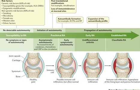 Rheumatoid arthritis Primer — behind the ...