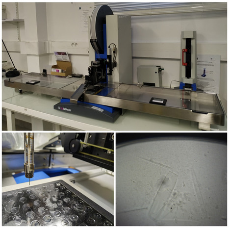 FOCUS PLATEFORME : La méthode dite lipid...