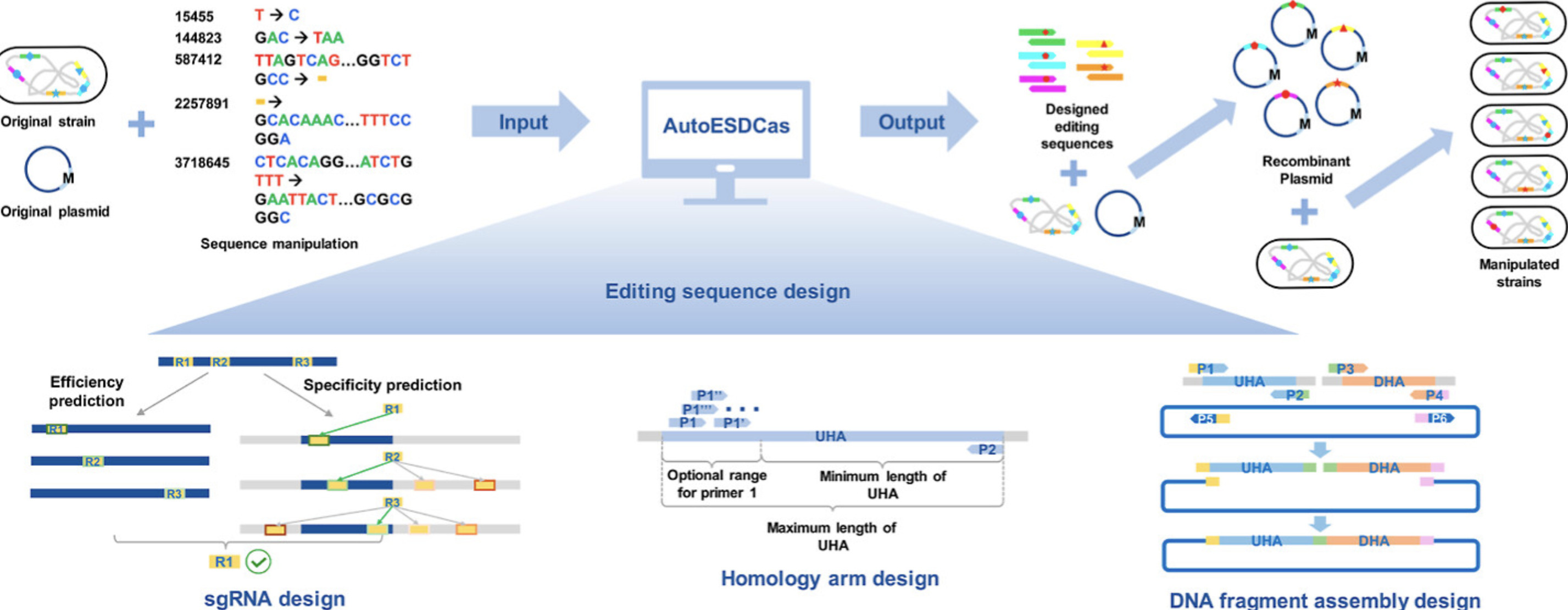 AutoESDCas: A Web-Based Tool for the Whole-Work...