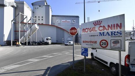 Le groupe d’exploitants laitiers Lact&rsq...