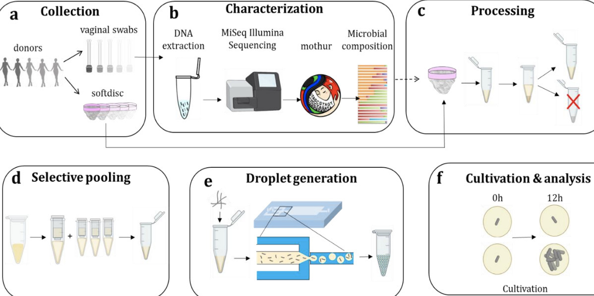 Microdroplet-enabled high-throughput cultivatio...