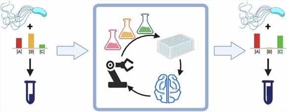 Machine learning-led semi-automated medium opti...