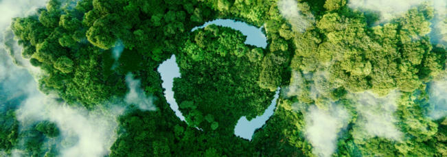 ISSB standards timeline: A ‘new era&rsquo...