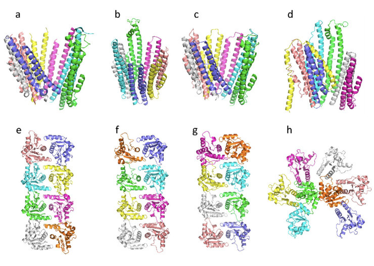 AFM-RL: Large Protein Complex Docking Using Alp...