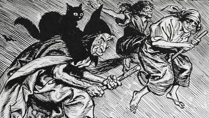 Witch-Hunt: A History of Persecution | Women an...