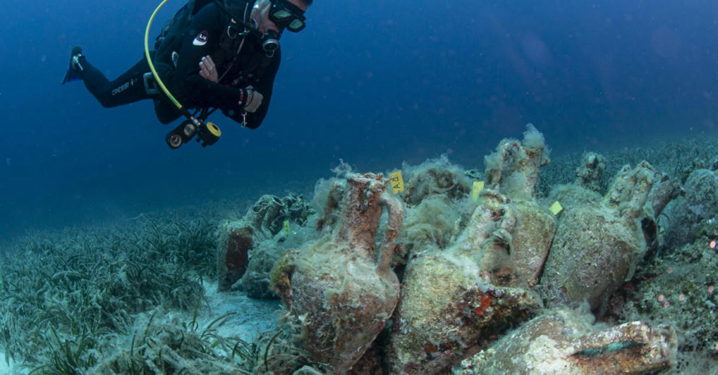 WINE : Five turning points in the evolution of ...