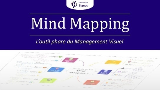 50 Slides pour découvrir le Mind Mapping...