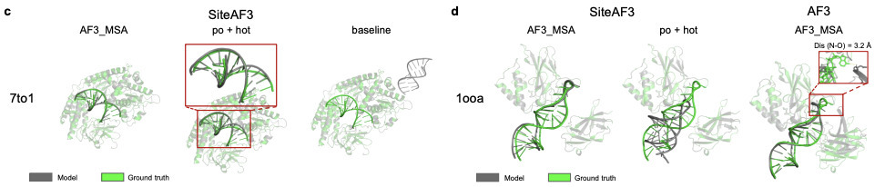 Accurate Site-specific Folding via Conditional ...