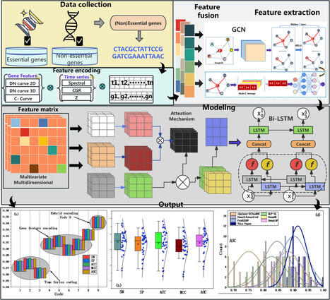 A hybrid machine learning model with attention ...