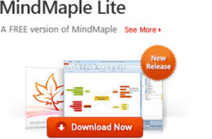 MindMaple - Mind Mapping Software - Improve Bra...