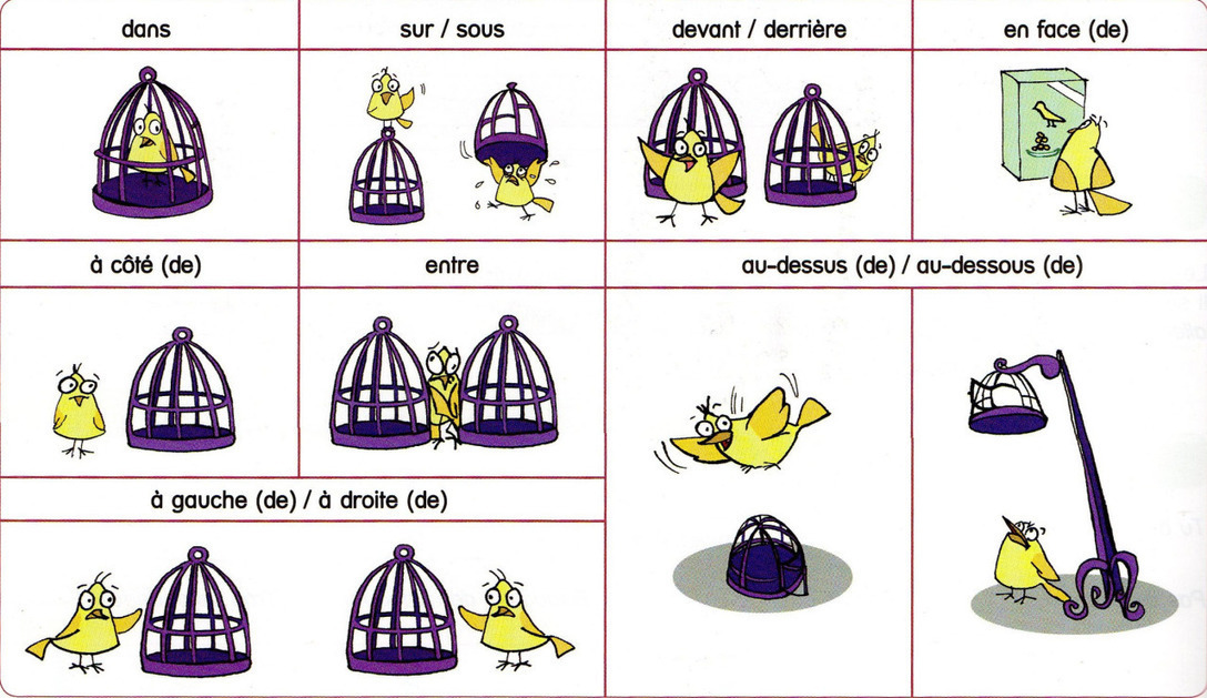 Flashcards Préposition De Lieu