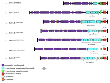 ClustVis: a web tool for visualizing clustering...