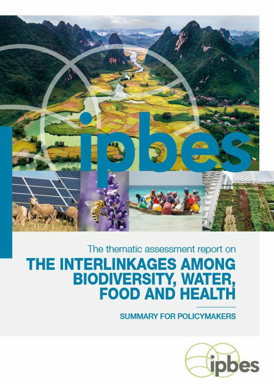 Rapport sur les liens entre la biodiversit&eacu...