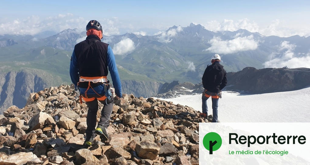 Hautes-Alpes : une minuscule plante freine...