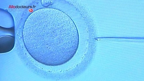 La PMA augmente les risques de complications pendant la grossesse ...