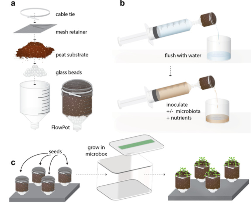 FlowPot axenic plant growth system for microbio...