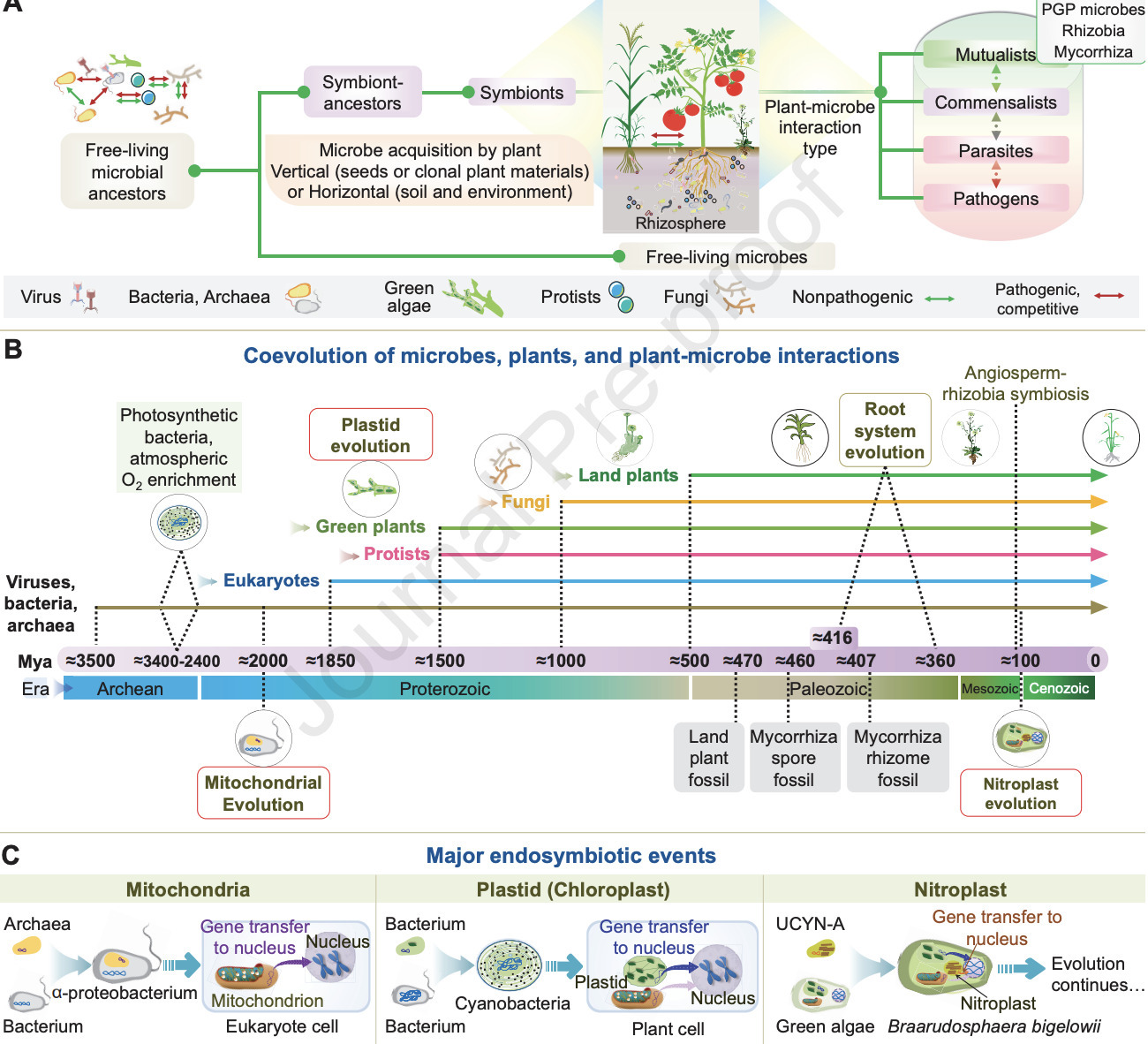 Coevolution of plant-microbe interactions, frie...
