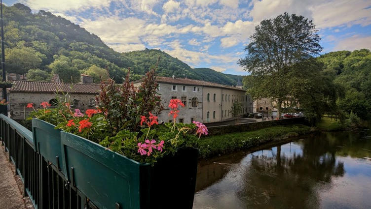 Burlats. Les fleurs font leur apparition sur la...