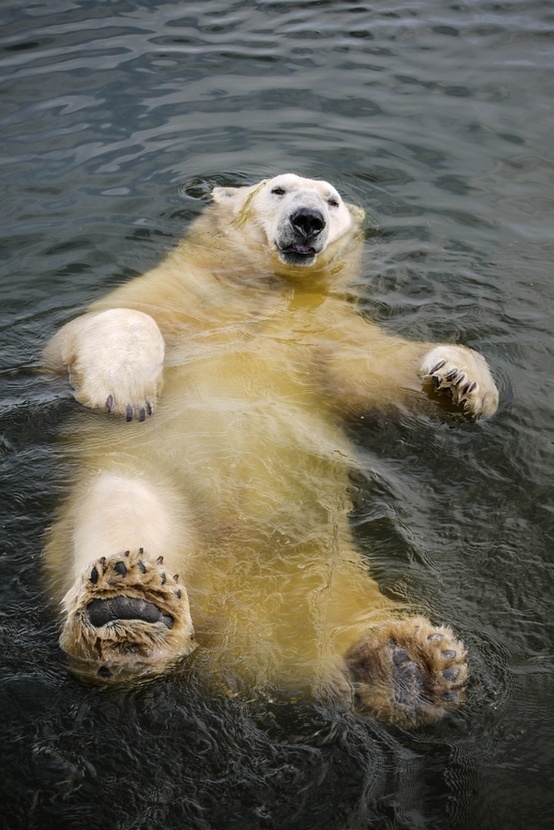 Relaxation by Jesper Nielsen, via 500px | I did...