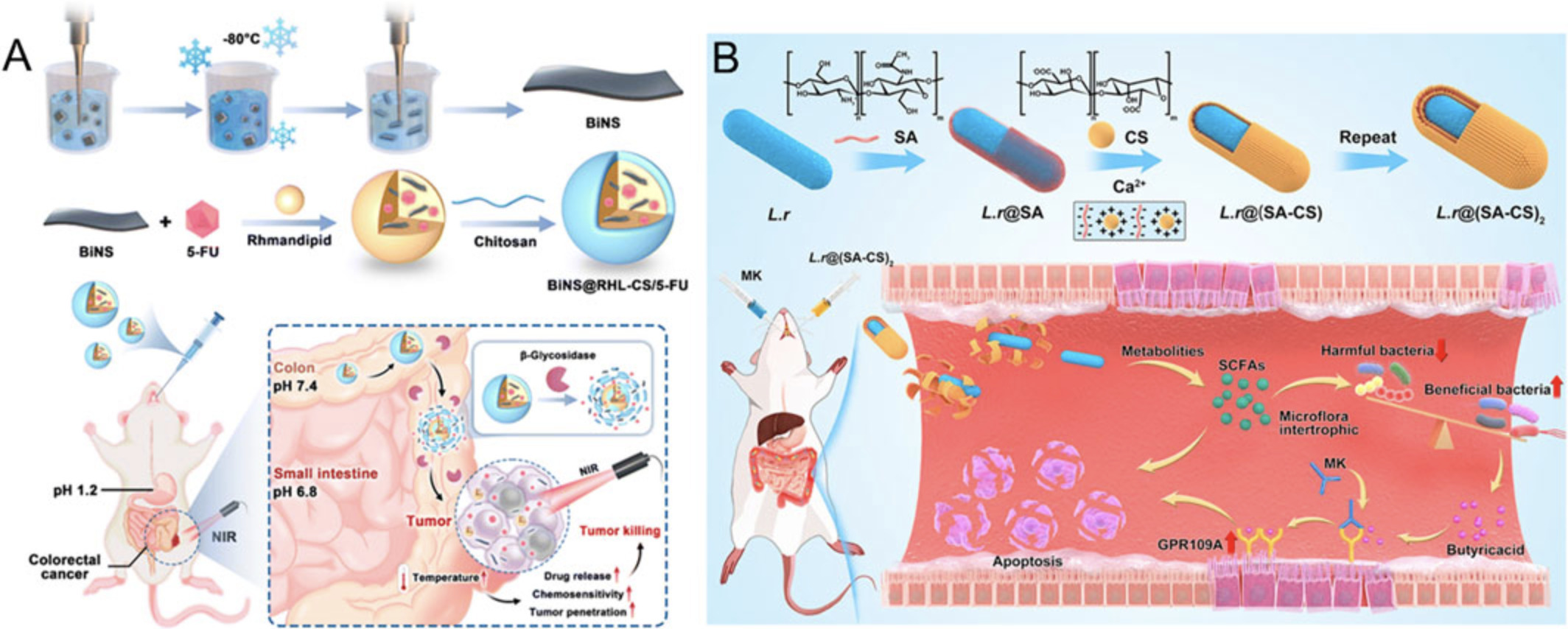 Targeted and intelligent nano-drug delivery sys...