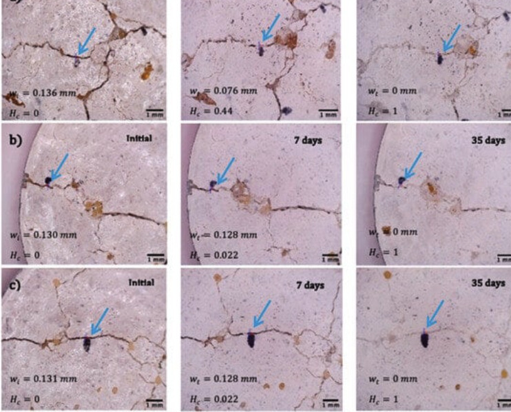Bacterial Viability in Self-Healing Concrete: A...