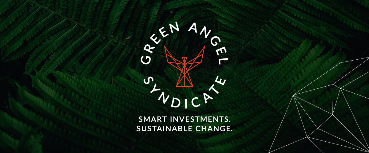 Green Angel Syndicate's First Portfolio Impact ...