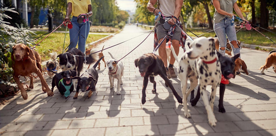 Cómo interpretar los datos sin hacerse u...