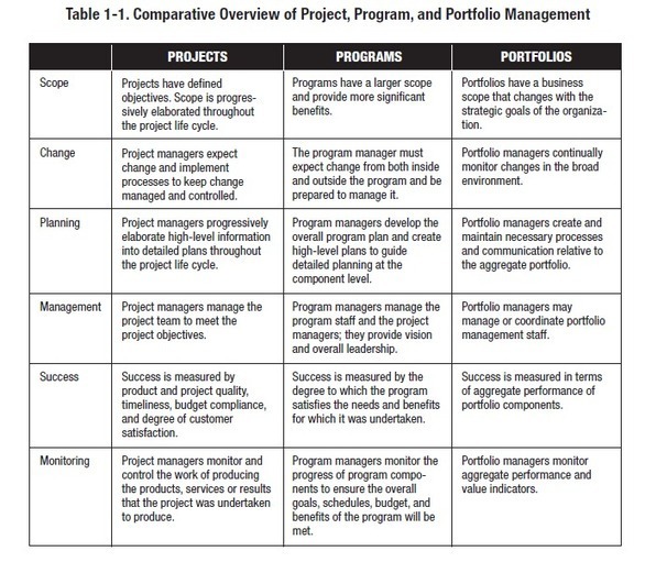Mastering the Basics of Project Management: Dif...