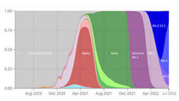 The BQ.1.1 variant story - by Eric Topol - Grou...