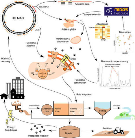 Connecting structure to function with the recov...