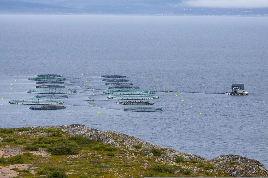 AG-TECH : New aquaculture technology to produce...