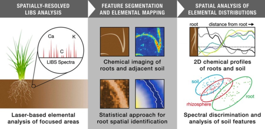 High-resolution elemental mapping of the root-r...