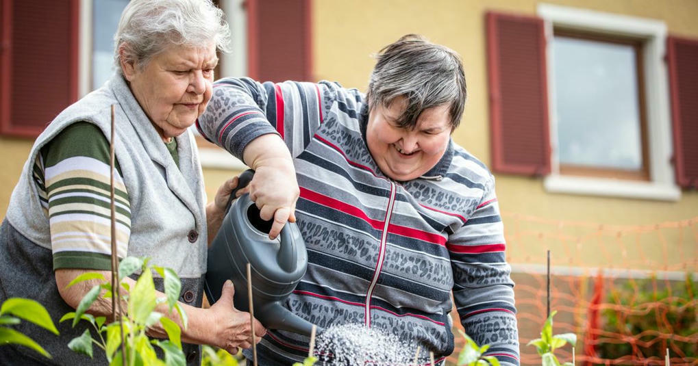 «Le handicap, angle mort de la loi sur la...