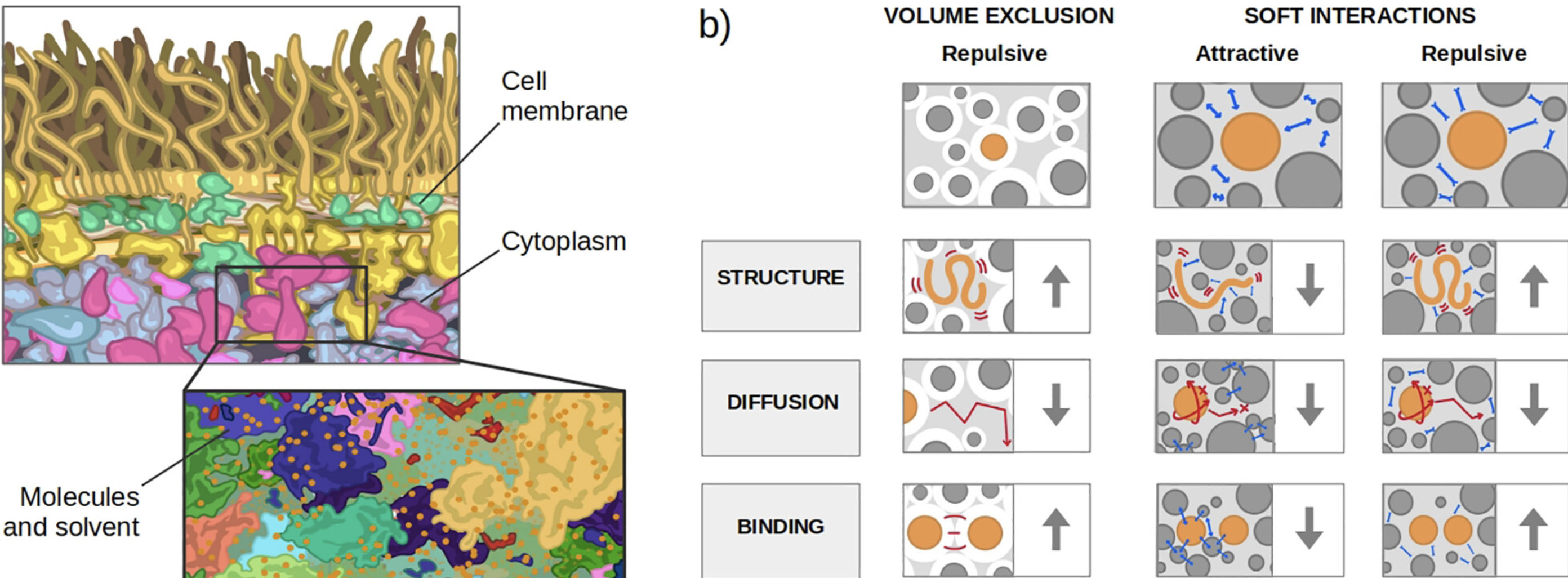 Computational Approaches to Predict Protein&nda...