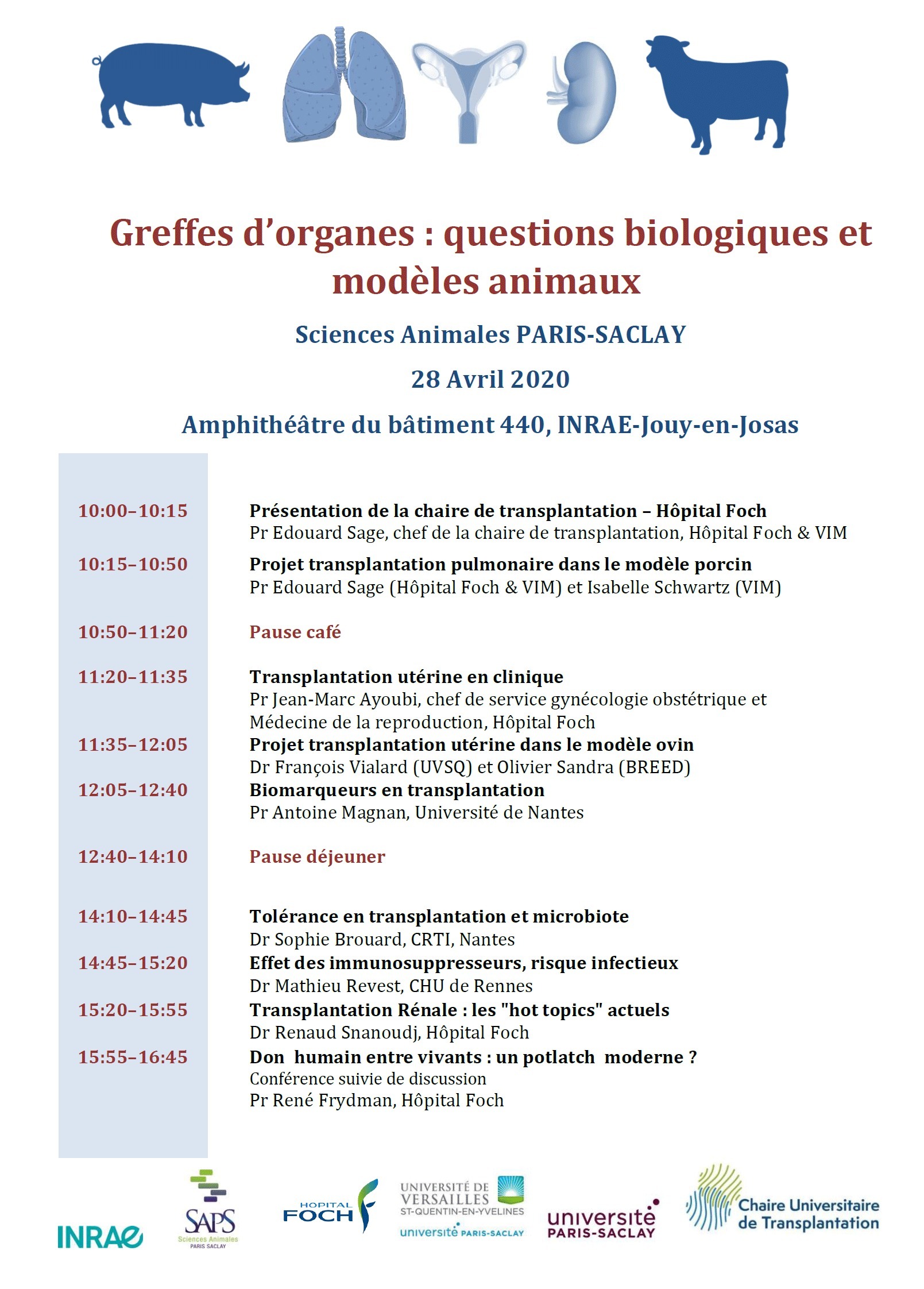 Greffes d’organes : questions biologiques...