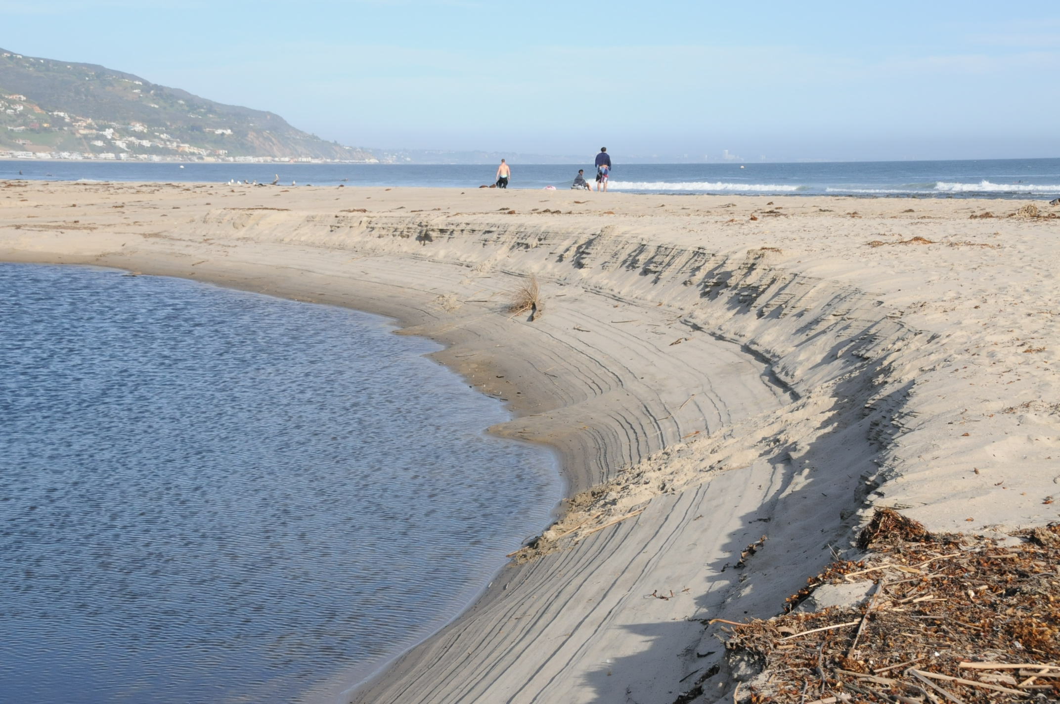 Sandy Beach Ecology & Management | Scoop.it