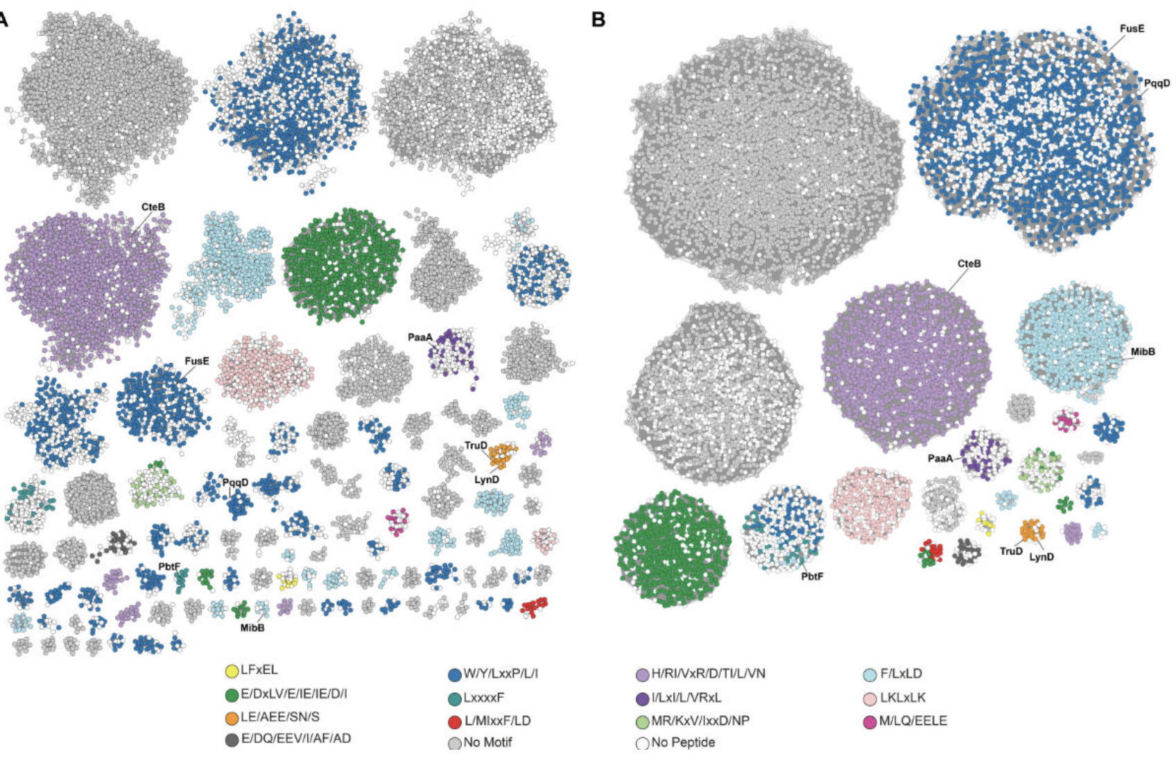 Structure-based discovery and definition of RiP...
