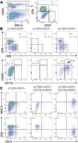 Use of multi-color flow cytometry for canine im...