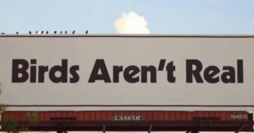 How the Birds Aren’t Real conspiracy beca...